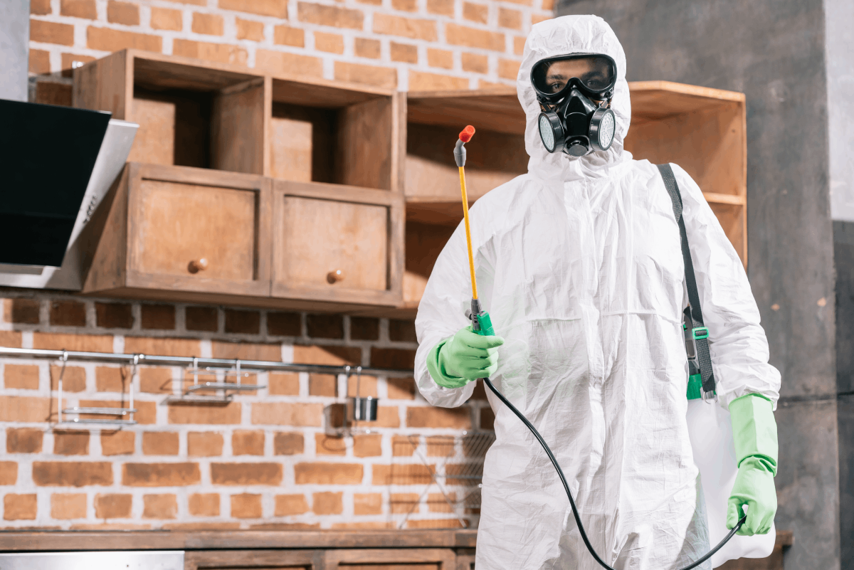 What are the different pest control methods | Which is best & why?