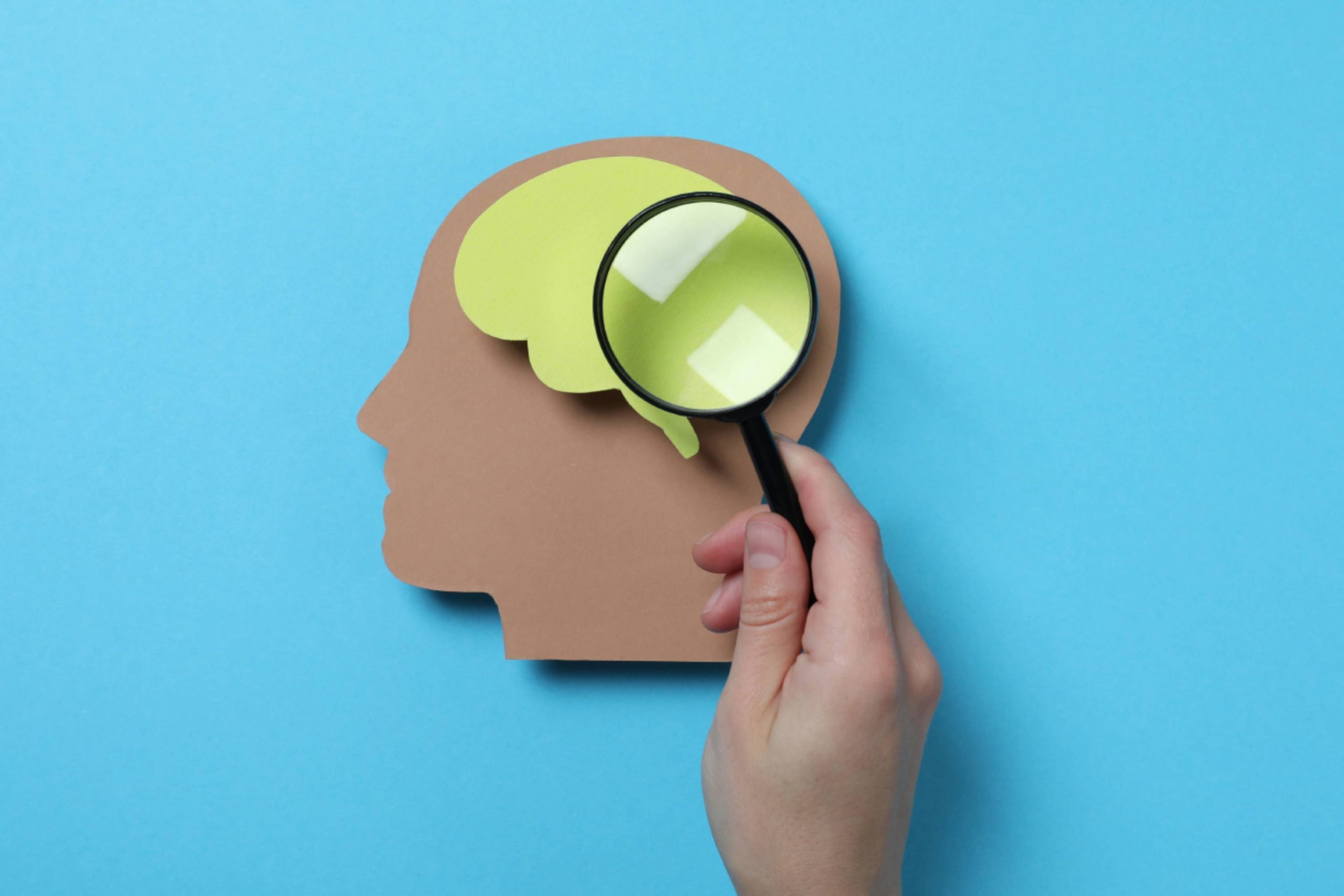 Characteristics of Intelligence in Psychology